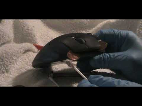 How to fix Logitech M570 M575 mouse Sticky Rolling Trace Ball & Clicking issue -dirt and dust - Easy