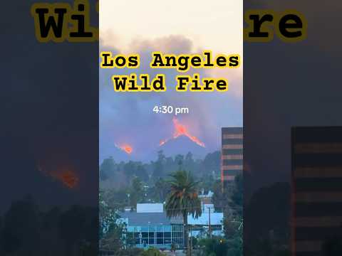 Costliest Blaze In The US History | Timeline #wildfire #latestnews #disaster #losangeles #california