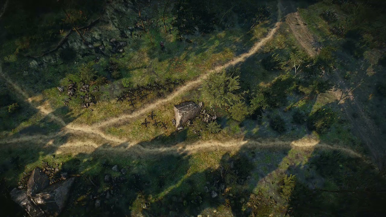 DND Battlemap: Forrest road