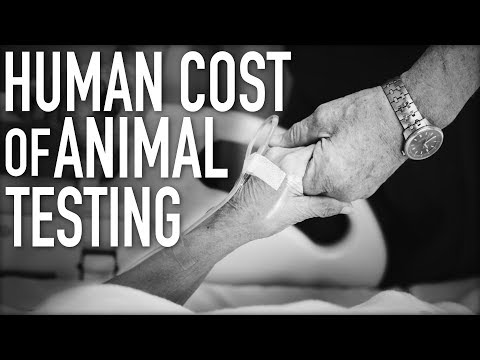 Animal Testing Part Three: The Human Cost of Animal Testing | Our Compass