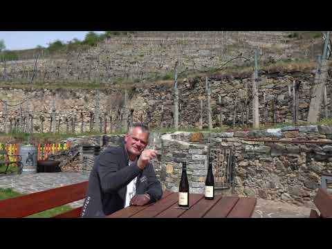 Domäne Wachau wine introduction