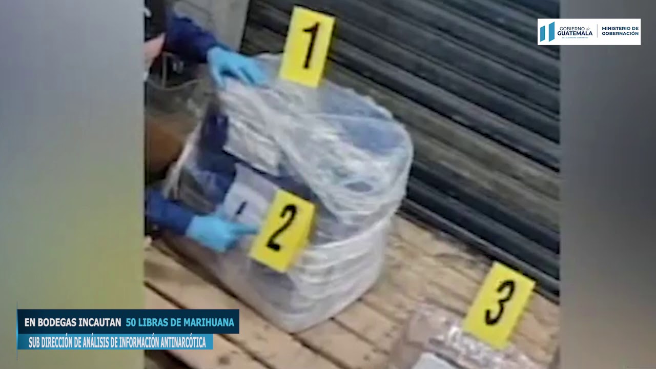 En bodegas incautan 50 libras de marihuana