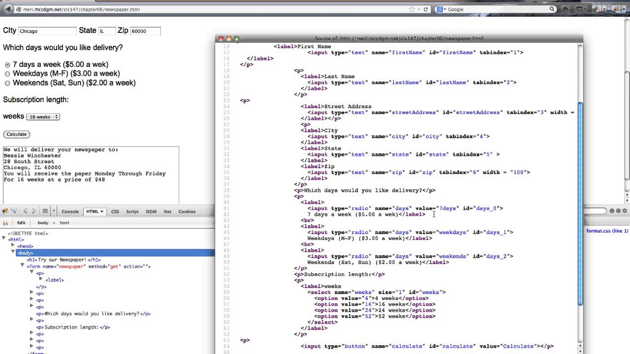 merihelp.net: Javascript form elements.mp4