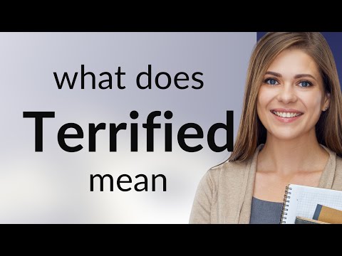 Terrified | definition of TERRIFIED