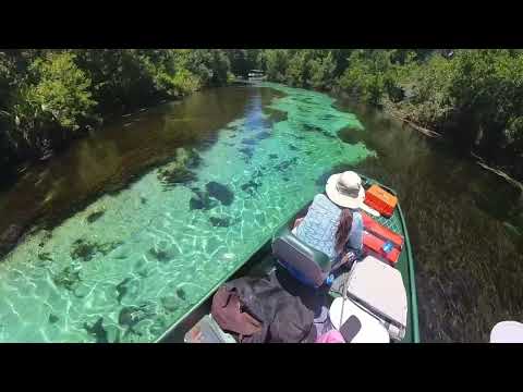 VR 360° Your personal connection to the great outdoors.1 Weeki Wachee River| | Virtual 3D Meta Quest