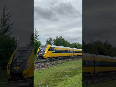 VIA rail #24 with the new Lumi set again #lumiviarail #viarail #railroad #railfan