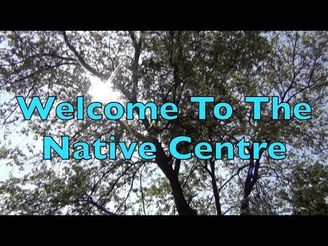 native-canadian-centre-of-toronto | CharityProfile | Donate Online