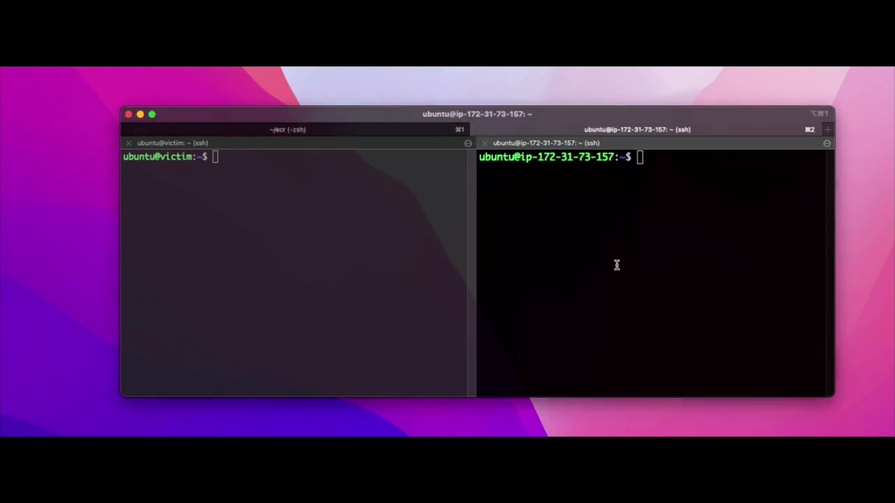 Abusing Elastic Container Registry (ECR) for Lateral Movement