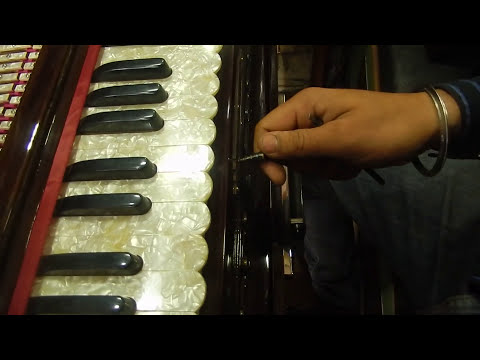 Harmonium Reed at Best Price in India