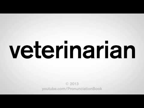 How to Say Veterinarian