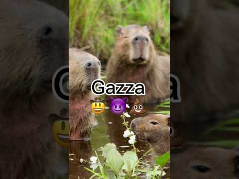 Capybara name ideas π₯°ππ #fyp #viral #fypγ· #preppy #capybara