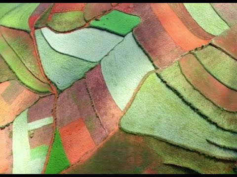The Color of China