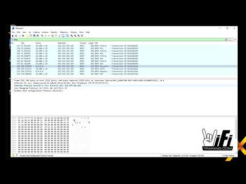 DHCP Lessons Lab 4 DHCP DORA Packet Analysis