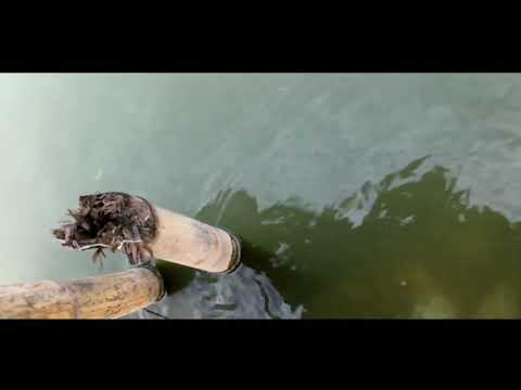 Netrokona, Bangladesh. Travel video
