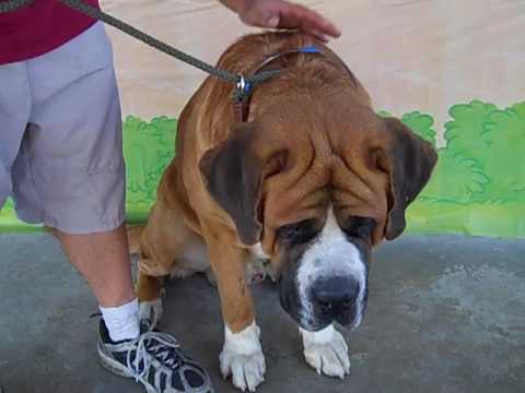 Tiny A4045962