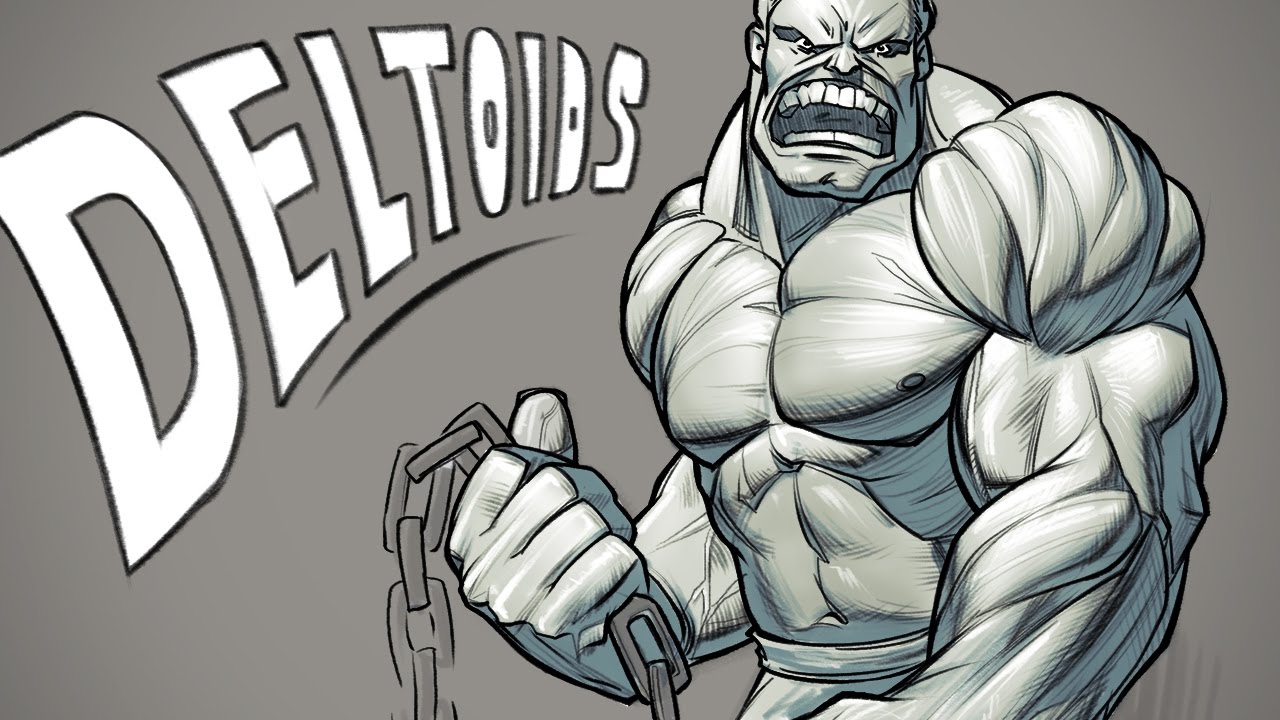 How to Draw Deltoids - Anatomy for Artists