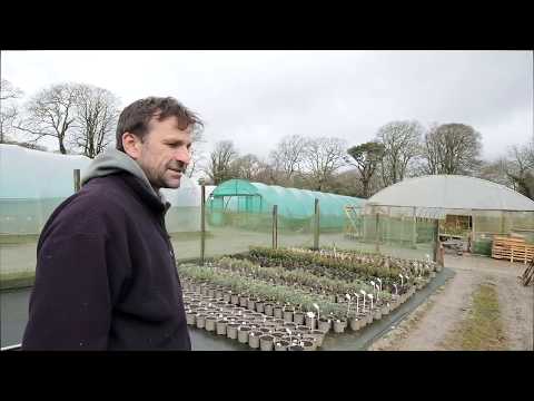 Andrew at Burncoose more chatting about herbaceous perennials