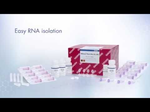 RNeasy FFPE Kit Purify total RNA from FFPE tissue sections
