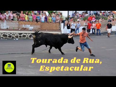 Touradas de rua, Espanha/pessoas estão brincando com os TOUROS ferozes.