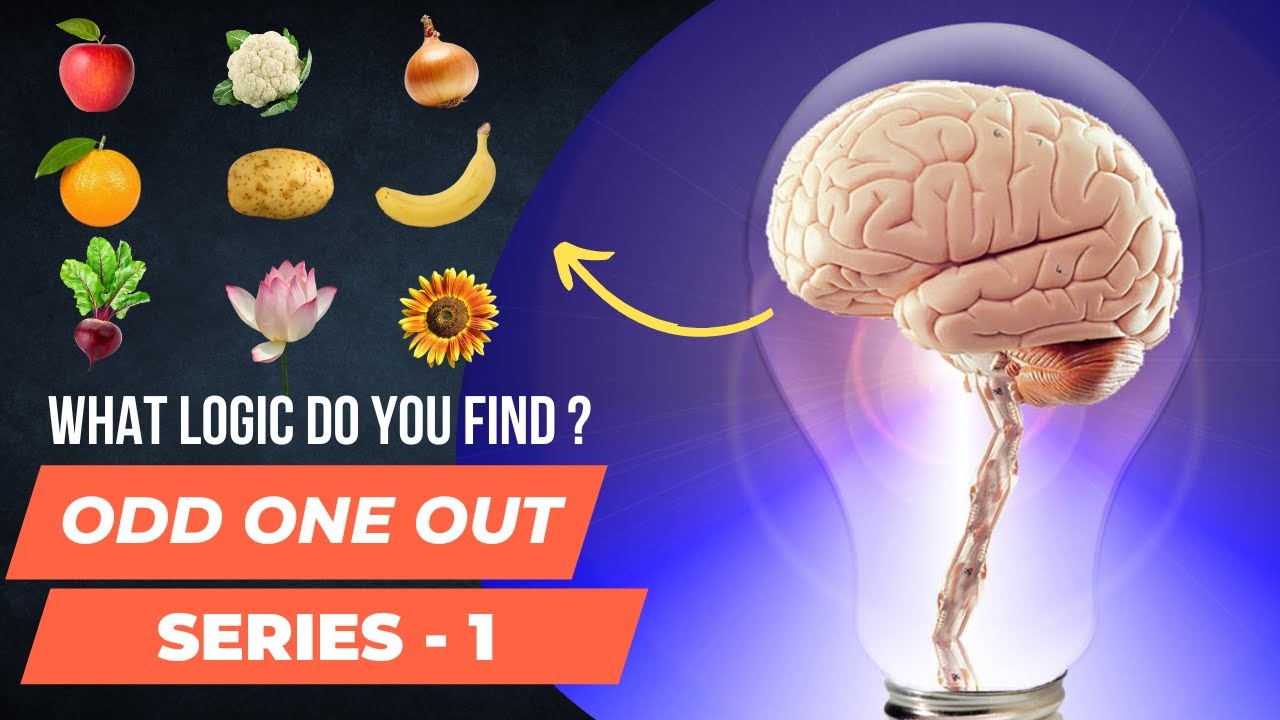 Find the odd one out, Logical reasoning questions and answers, Mind development videos,