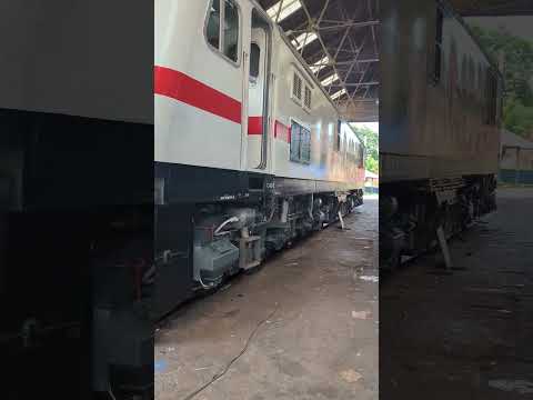 WAP7 & WAG7 #locomotive #railway #train #rrbje