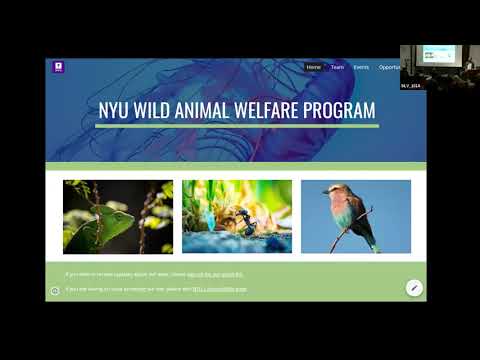 NYU Wild Animal Welfare Program launch