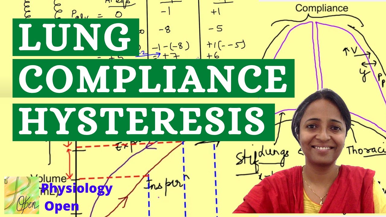 Understanding Lung Compliance and Hysteresis in Respiratory Physiology ...