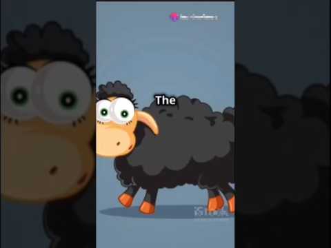 Who's the Black Sheep in the Family?#idioms #englishexpressions #blacksheep