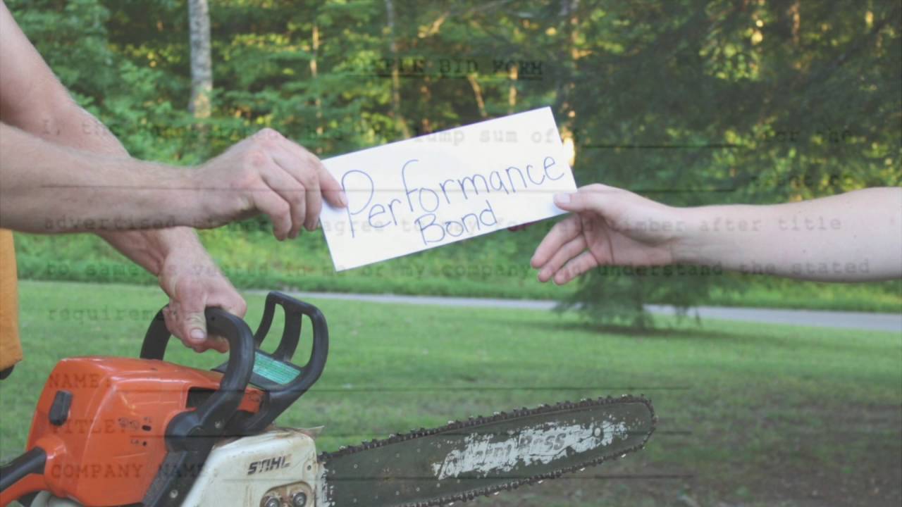 Timber Sale Sealed Bidding Process