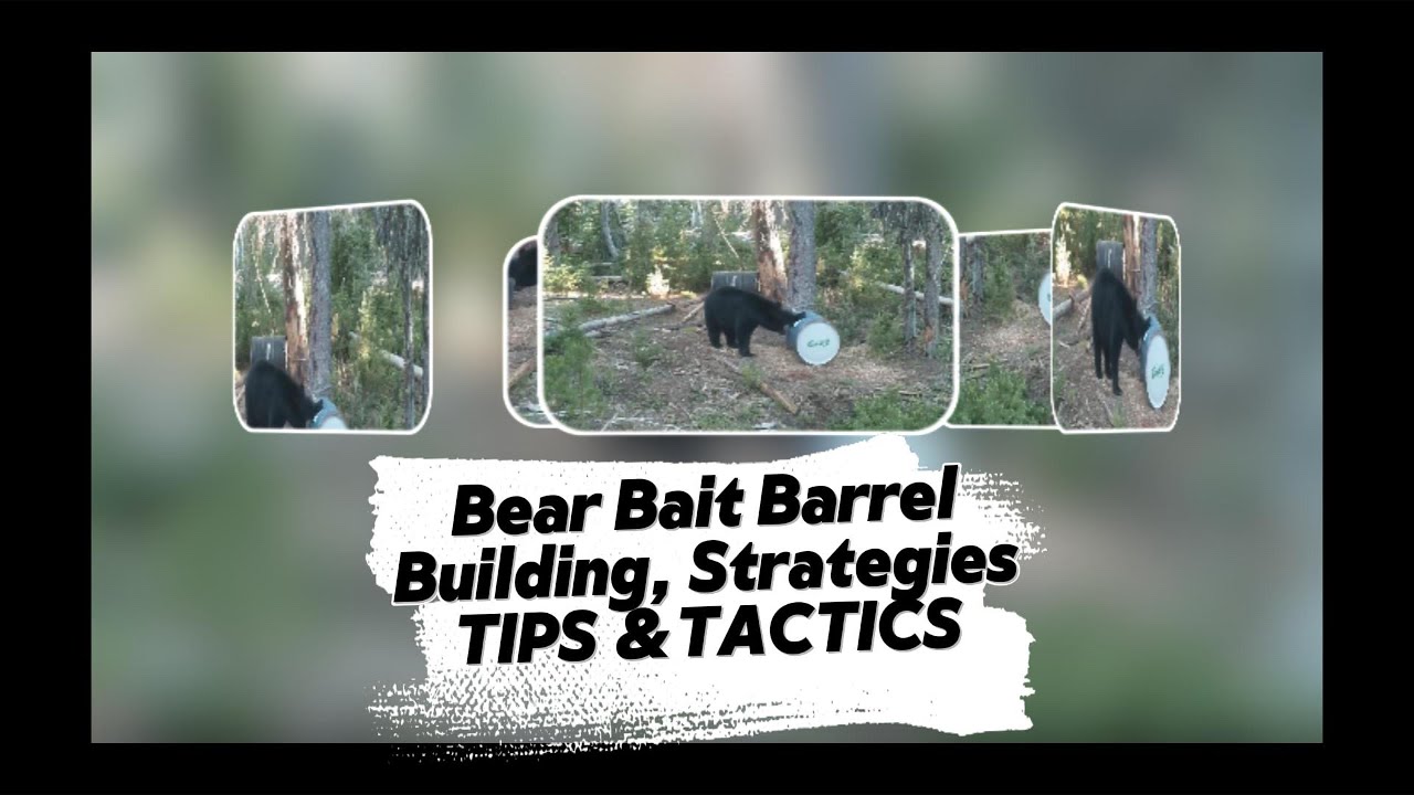 Everything You Need to Know About Bear Bait Barrels (Build, Tips & Tactics)