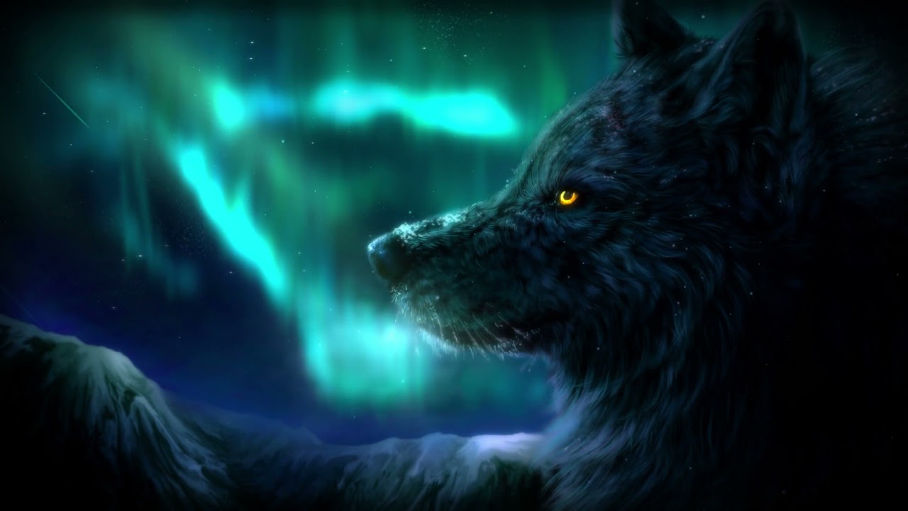 aurora wolf night 4k free live wallpaper