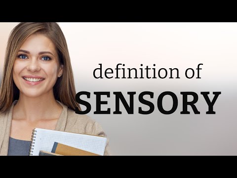 Sensory • what is SENSORY meaning