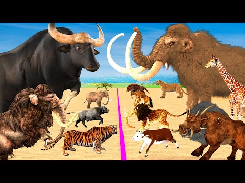 5 Mammoth Elephant Cow vs 3 Indian Bison Tiger Lion Bull Fight Prehistoric Mammals vs Modern Animals