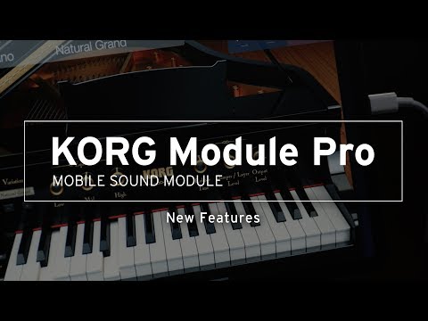 Let’s discuss the KORG Module “Pro” Update - Page 2 — Loopy Pro Forum