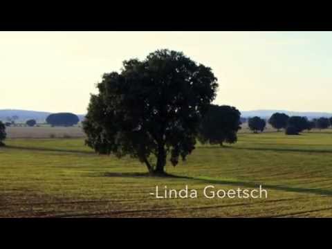Family History Quote Video