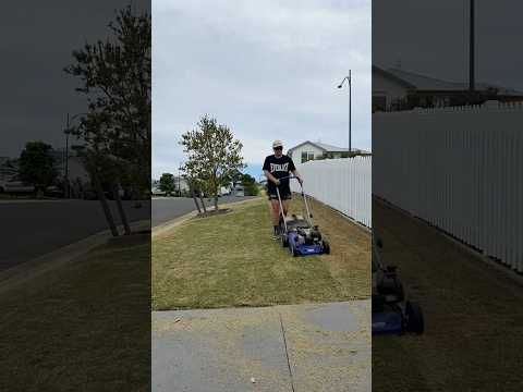 Lawn renovation season is officially here 👏 #lawnrenovation #tiftuf #lawncare