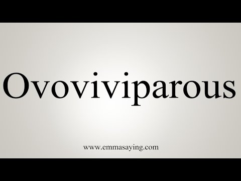 How To Say Ovoviviparous
