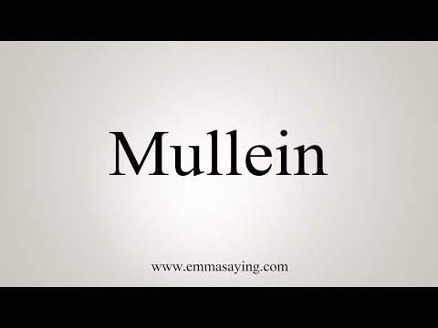 How To Say Mullein