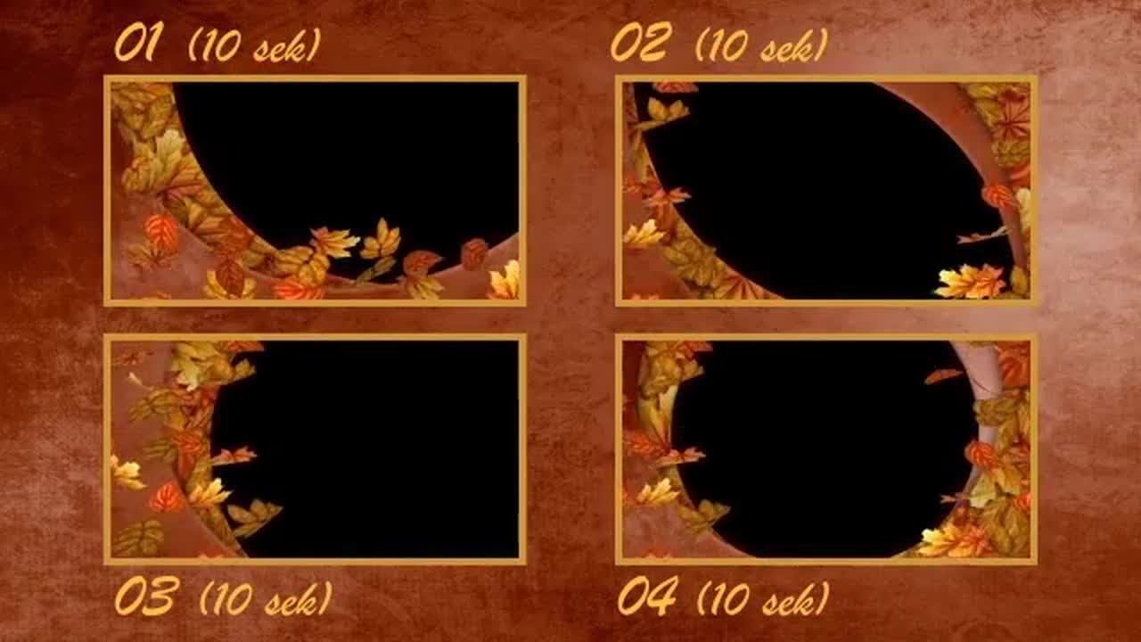 Autumn Falling Leaves Frames Motion Graphics