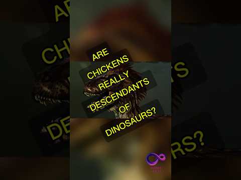 Are Chickens Really Descendants of Dinosaurs? #shorts
