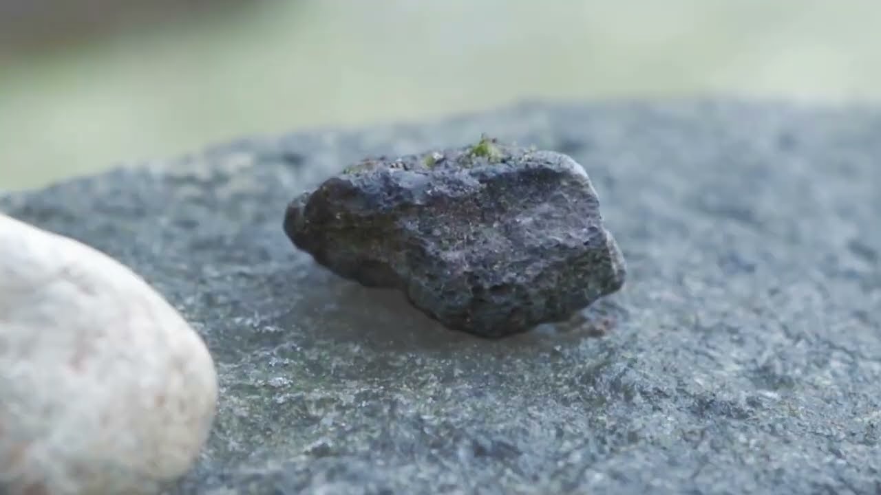 English Trailer: Shoah Memorial Frankfurt