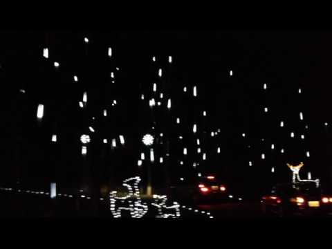Bull run Festival of Lights