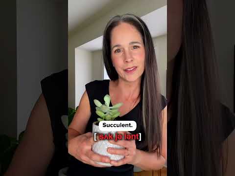The word SUCCULENT