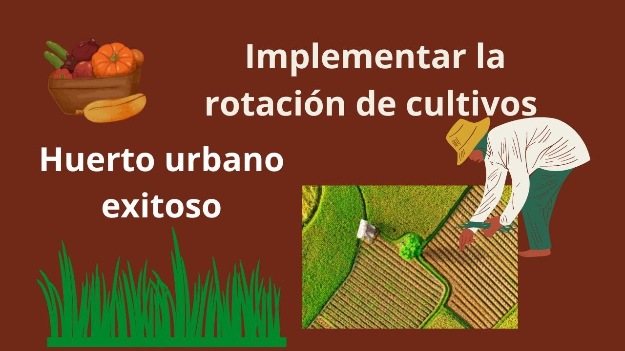 Maximiza tu huerto urbano con la rotación de cultivos