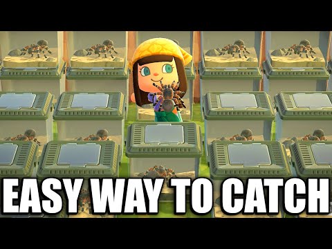 ACNH: How To Catch A Tarantula | GAMERS DECIDE