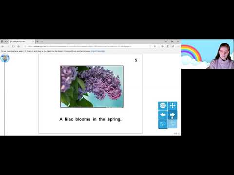 Spring Flowers