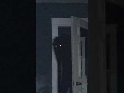 Images That Will Give You Nightmares.. #creepy #disturbing