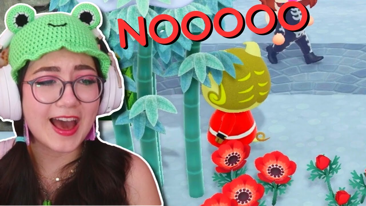 this dream island challenge went so wrong...