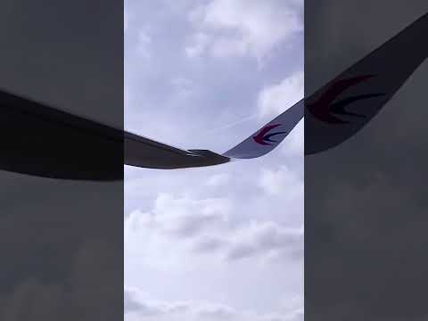 What The Codes Mean Behind Airbus Plane Names #shorts