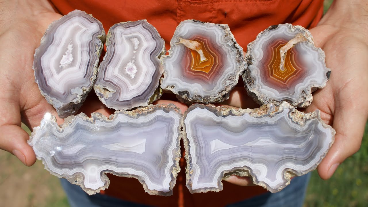 Finding JACKPOTS inside Laguna agate rough! GEM AGATES